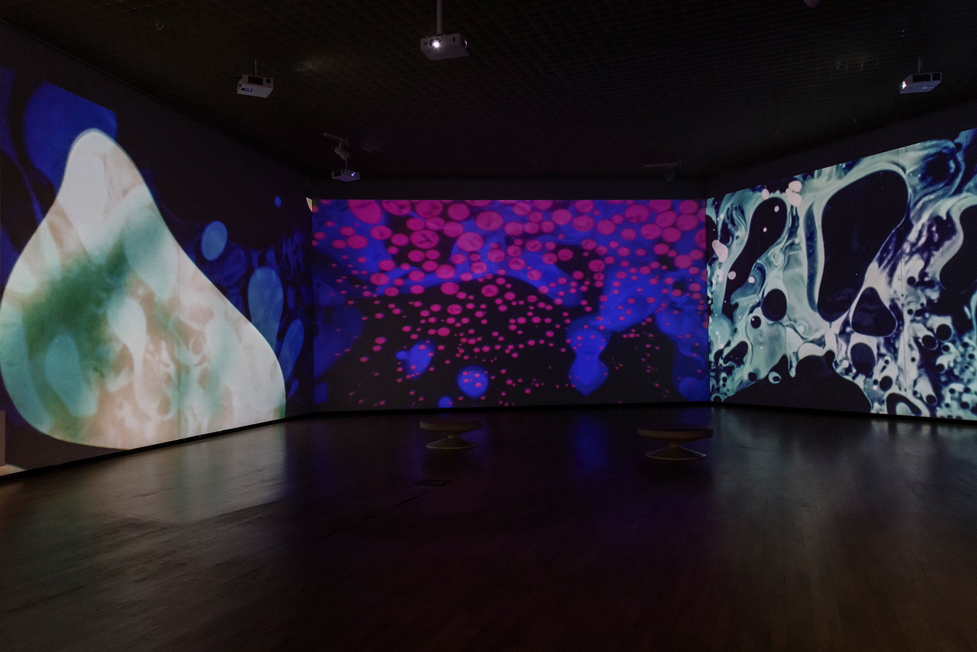 Boyle Family — Henie Onstad Art Center